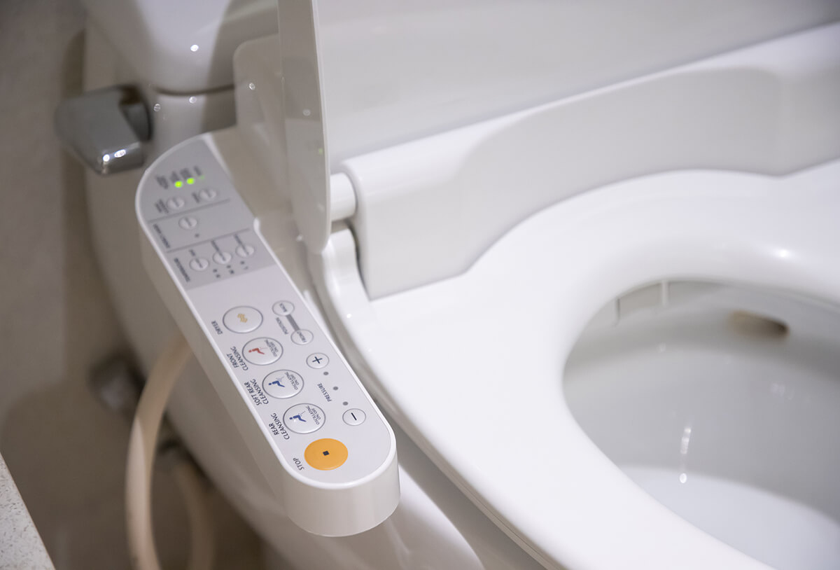 The World’s Weirdest Toilets: Odd Thrones from History ‣ Weird Why